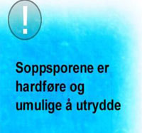 Fotsopp for en av ti – NRK Nyttig – Tips, råd og innsikt