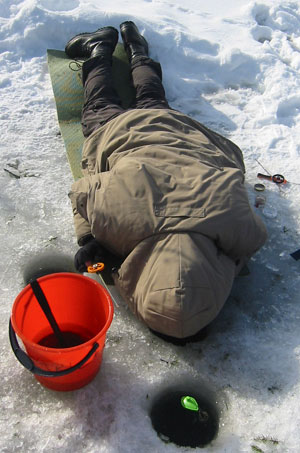 Hva er det med pilking? – NRK Innlandet – Lokale nyheter, TV og radio